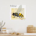 Basic Morphology of a Female Wasp Diagram Poster | Zazzle