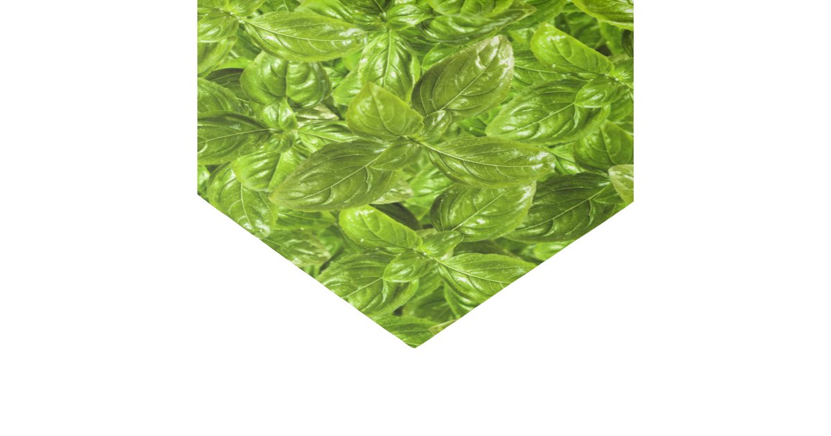 Basil Leaves Pattern Tissue Paper | Zazzle