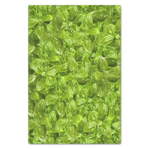 Basil Leaves Pattern Tissue Paper | Zazzle