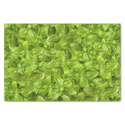 Basil Leaves Pattern Tissue Paper | Zazzle