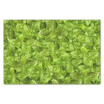 Basil Leaves Pattern Tissue Paper | Zazzle