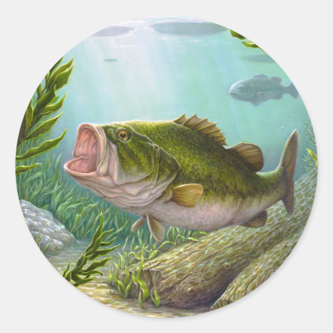 Bass Fish Classic Round Sticker | Zazzle