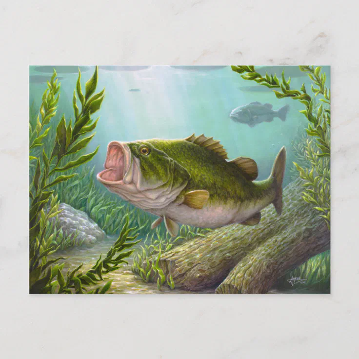 Bass Fish Postcard | Zazzle