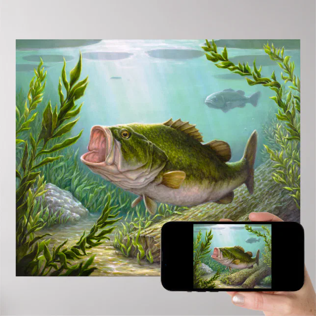 Bass Fish Poster | Zazzle