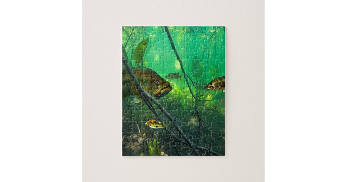 Bass Jigsaw Puzzle | Zazzle