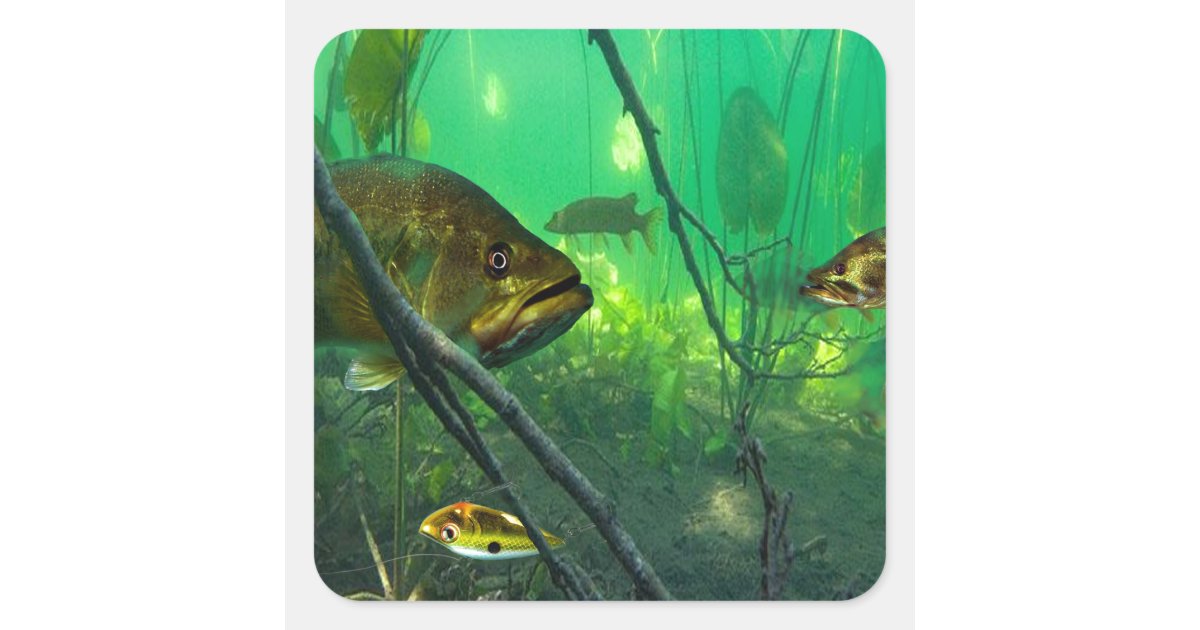 Bass Square Sticker | Zazzle