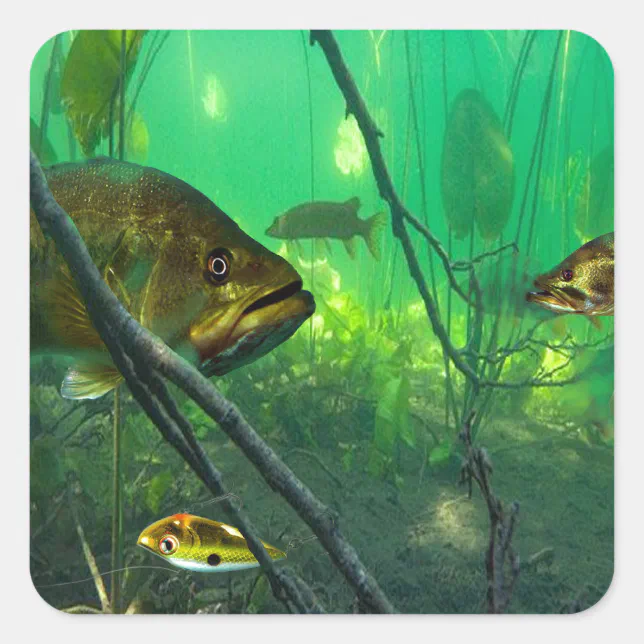 Bass Square Sticker | Zazzle