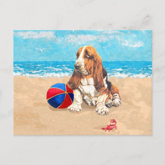 Basset Hound at the Beach Postcard | Zazzle.com