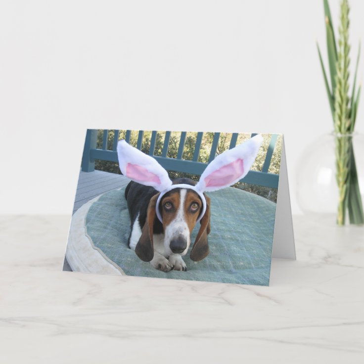 Basset Hound Easter Card | Zazzle
