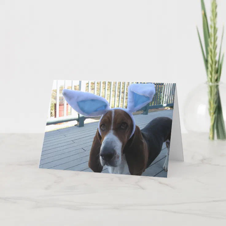 Basset Hound Easter Card | Zazzle