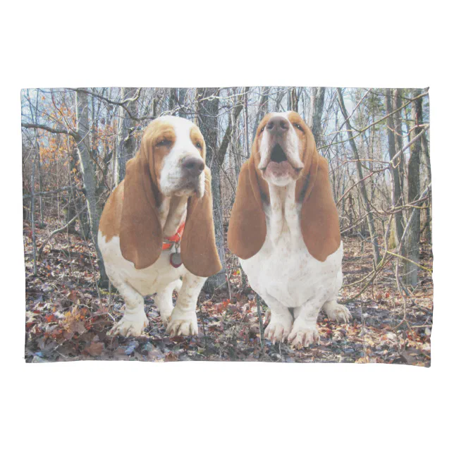 Basset Hounds In Woods Basset Hound Pillow Case | Zazzle