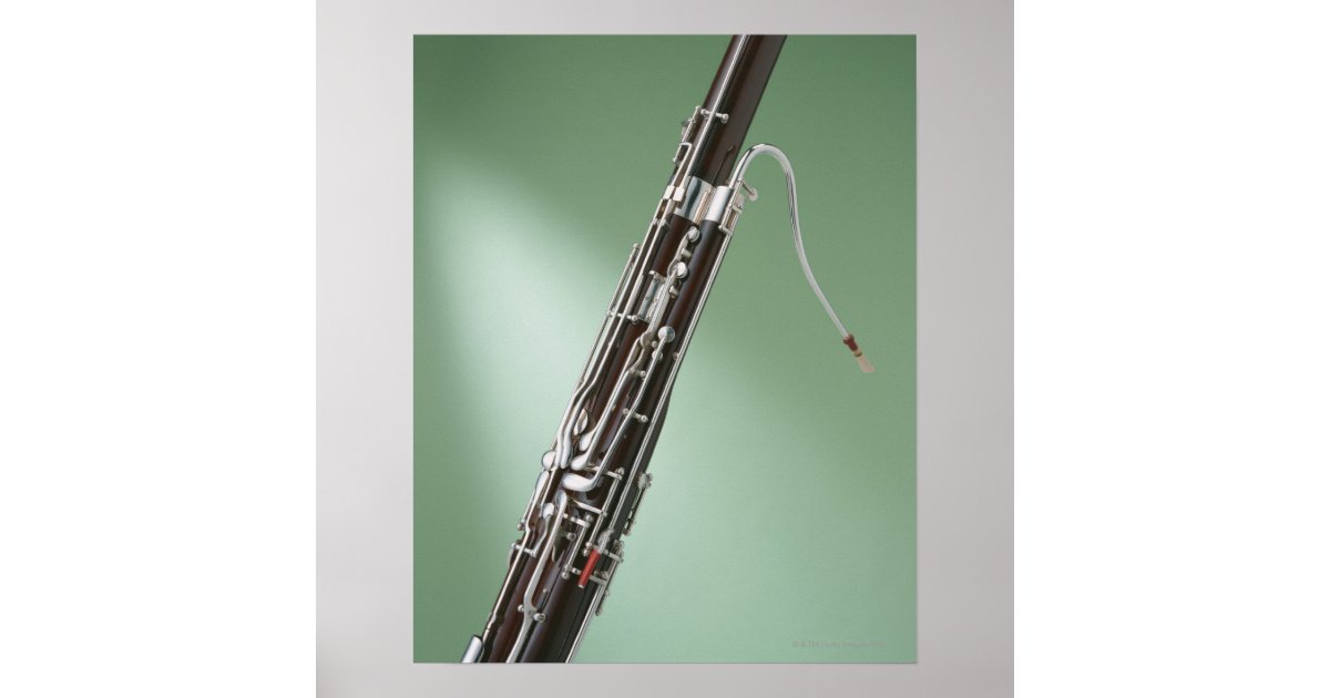 Bassoon Poster | Zazzle