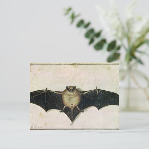 Bat, 1522 postcard | Zazzle