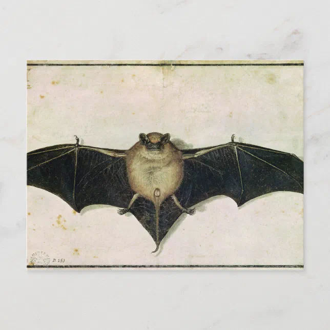 Bat, 1522 postcard | Zazzle