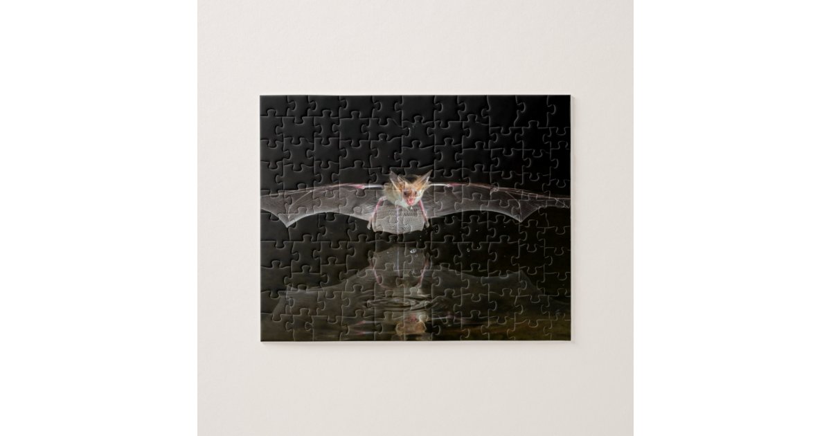 Bat drinking in flight, Arizona Jigsaw Puzzle | Zazzle