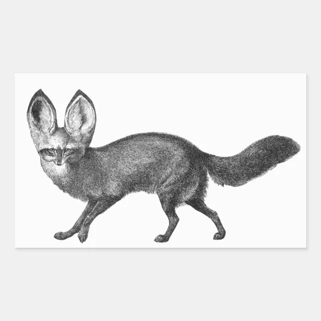 Bat Eared Fox Stickers | Zazzle