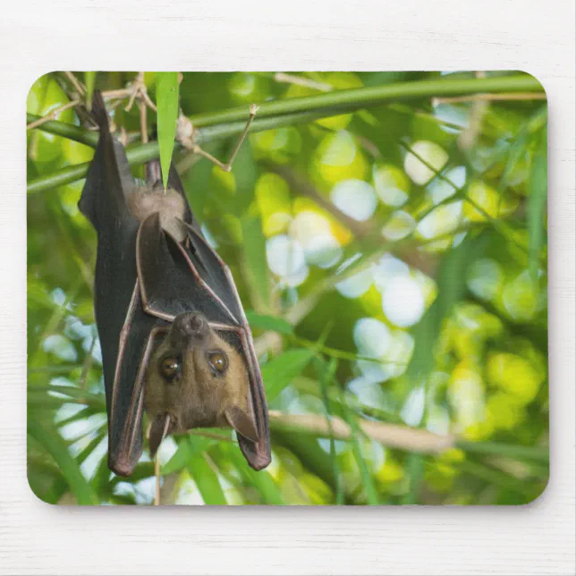 Bat Mouse Pad | Zazzle