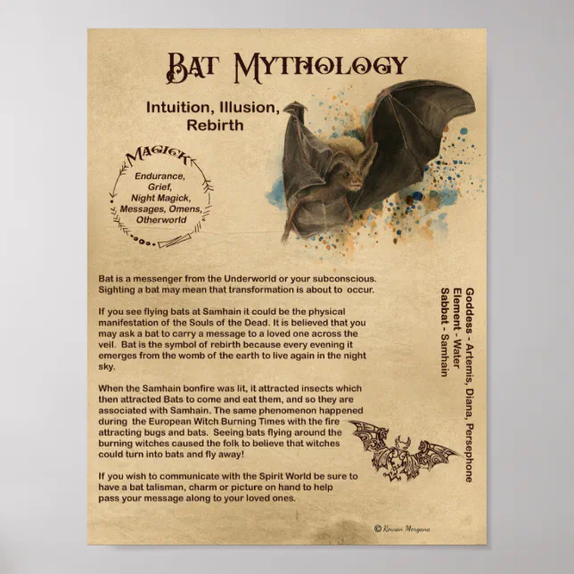 BAT MYTHOLOGY POSTER | Zazzle