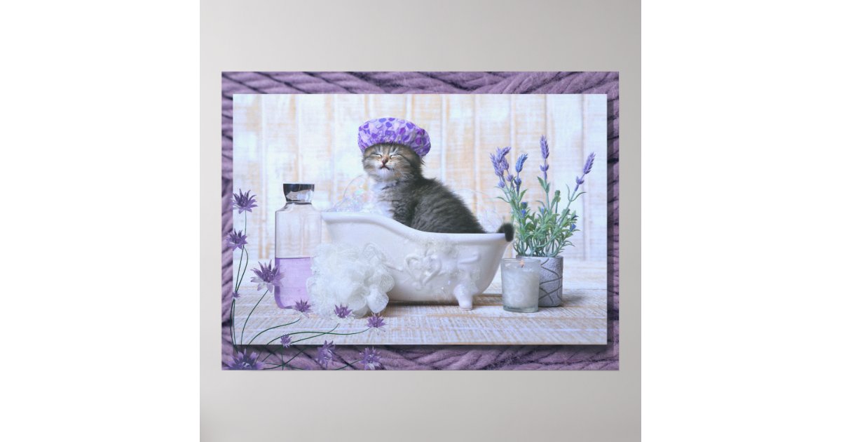 Bathroom Cat in a Tub Poster | Zazzle