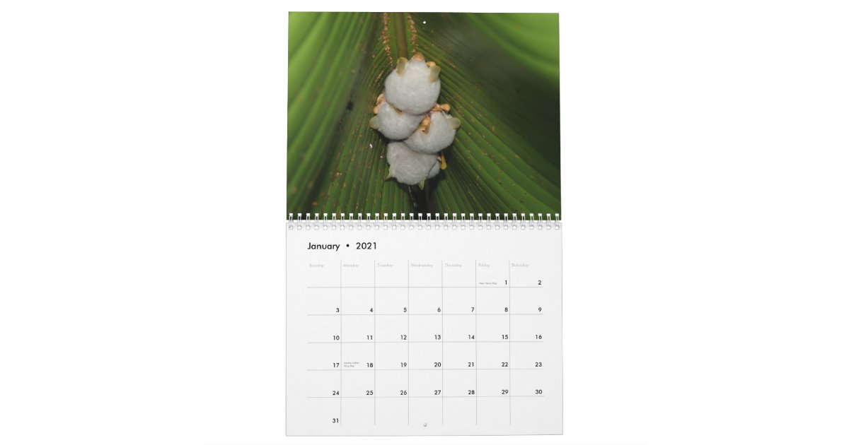 Bats Calendar | Zazzle.com