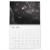 Bats Calendar | Zazzle