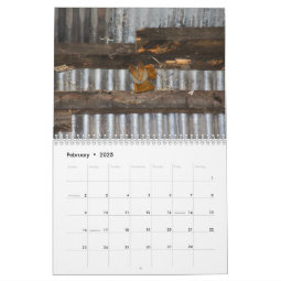 Bats Calendar | Zazzle