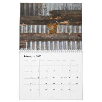 Bats Calendar | Zazzle