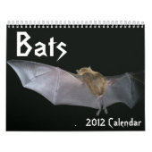 Bats Calendar | Zazzle