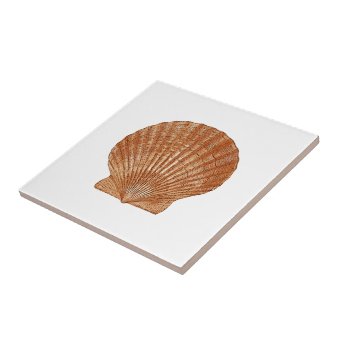 Bay Scallop Shell Ceramic Tile | Zazzle