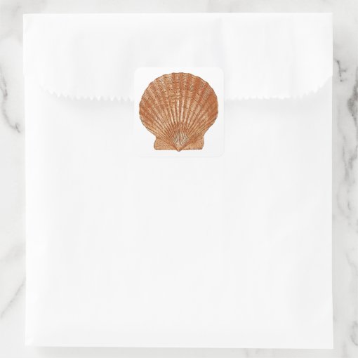 Bay Scallop Shell Square Sticker | Zazzle