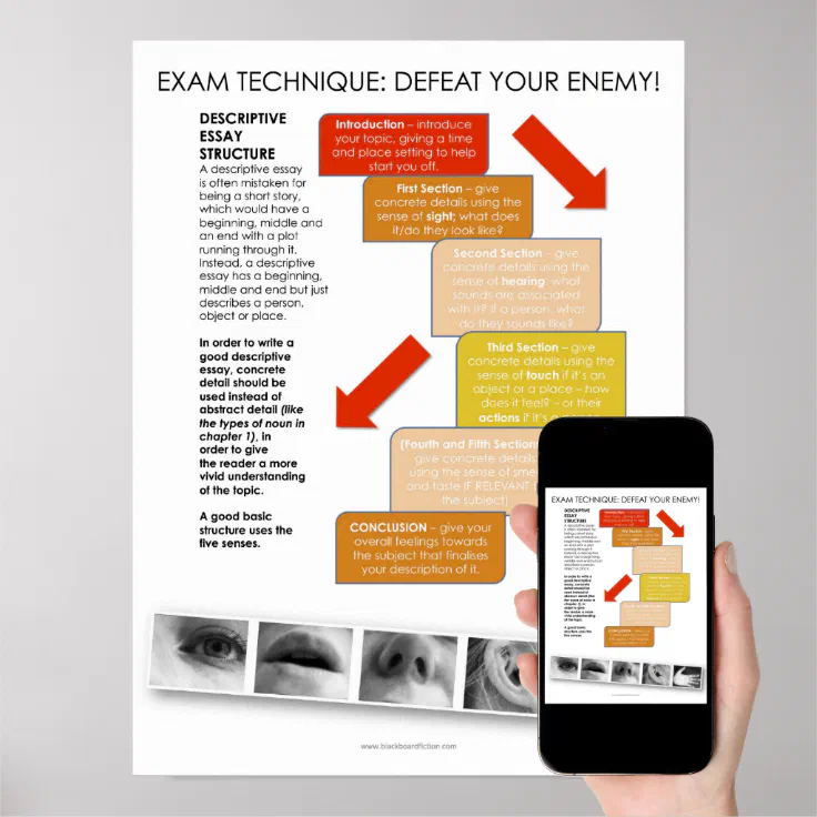 BBF Descriptive Essay structure classroom poster | Zazzle