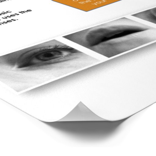 BBF Descriptive Essay structure classroom poster | Zazzle