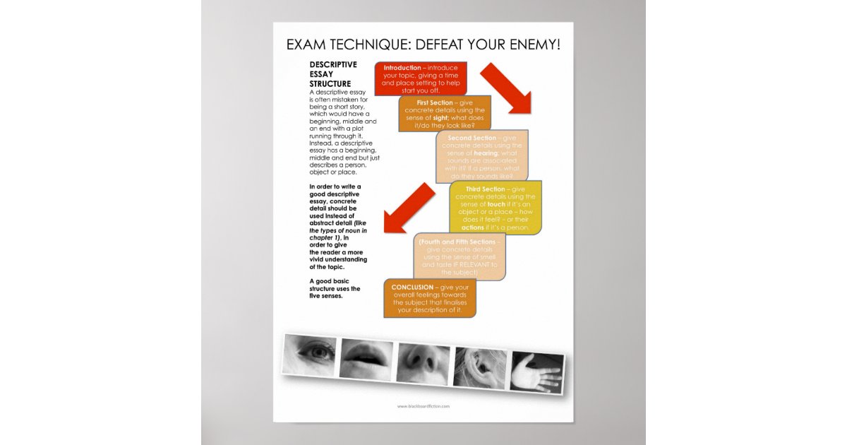 BBF Descriptive Essay Structure Classroom Poster Zazzle bbf-descriptive-essay-structure-classroom-poster-zazzle