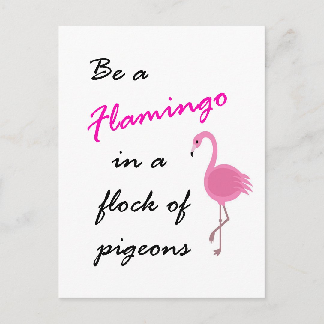 Be a Flamingo in a flock of pigeons Postcard | Zazzle