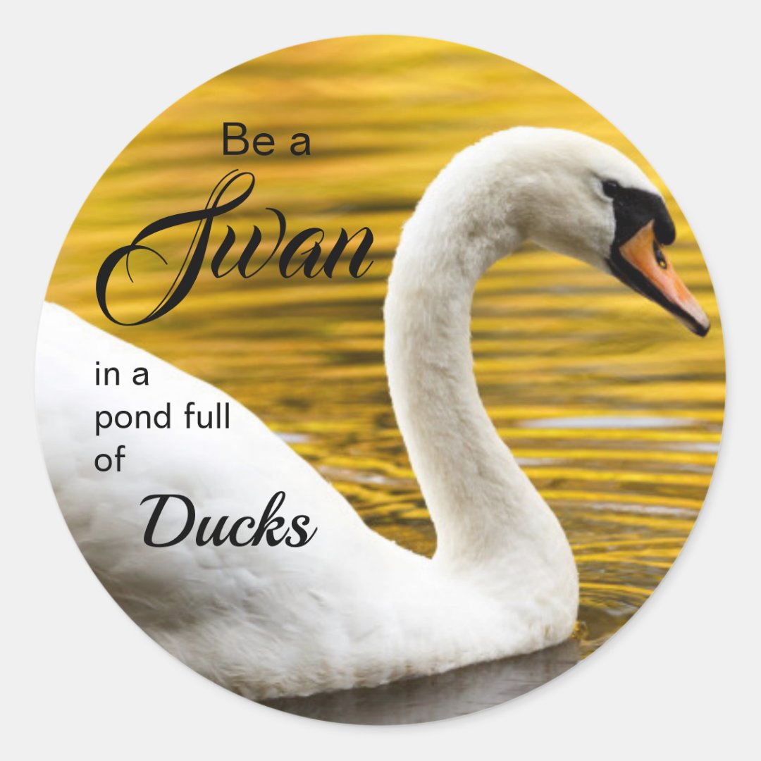 Be a Swan Beautiful Inspirational Quote Classic Round Sticker | Zazzle