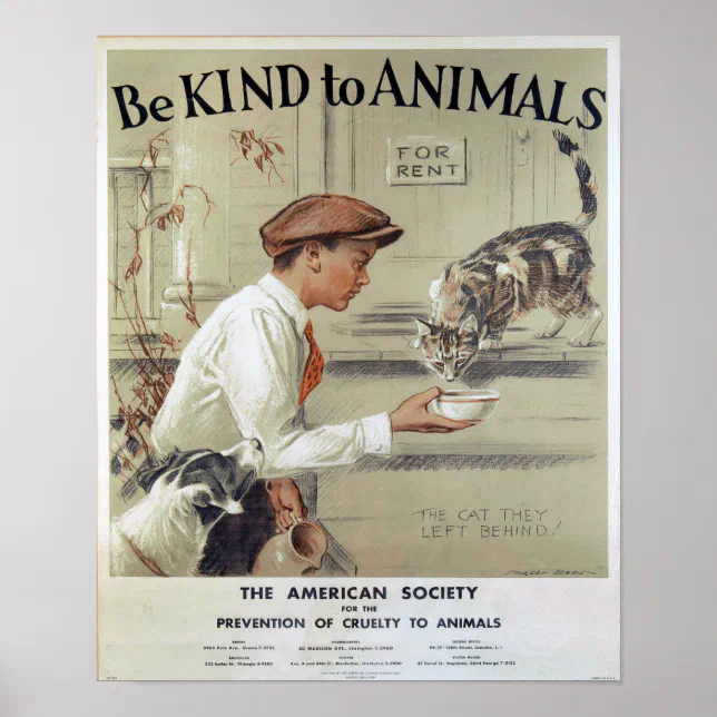 Be Kind to Animals-Cats Poster | Zazzle