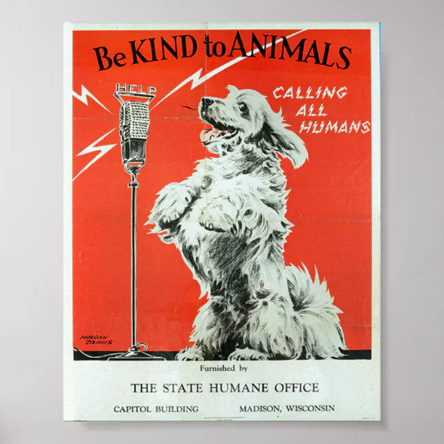 Be Kind To Animals - Dog "Calling All Humans" Poster | Zazzle