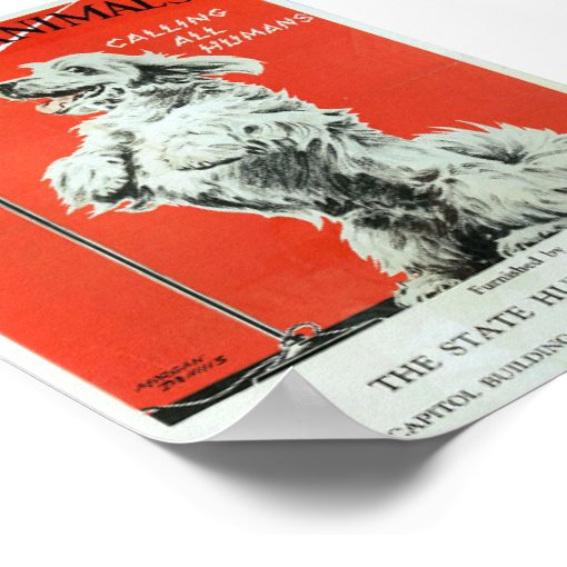 Be Kind To Animals - Dog "Calling All Humans" Poster | Zazzle