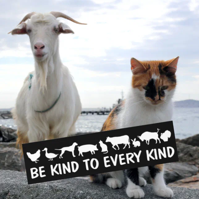 Be Kind To Every Kind, Car Decal | Zazzle