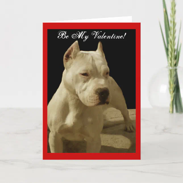 Be My Valentine pitbull greeting card | Zazzle