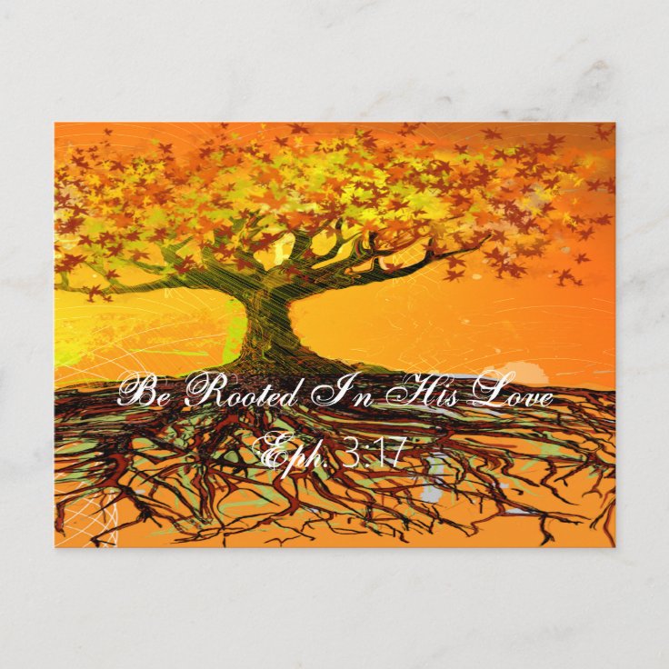 Be Rooted In His Love Ephesians 3:17 Postcard | Zazzle