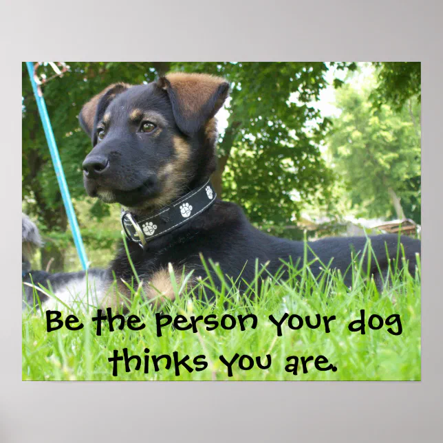 Be the Person your Dog thinks you are, Poster | Zazzle
