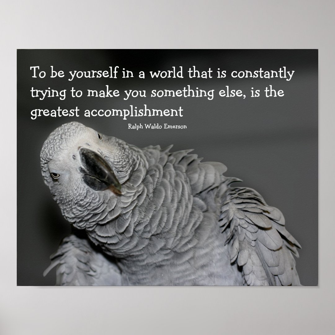 Be Yourself Quote Cute Parrot Inspirational Poster | Zazzle