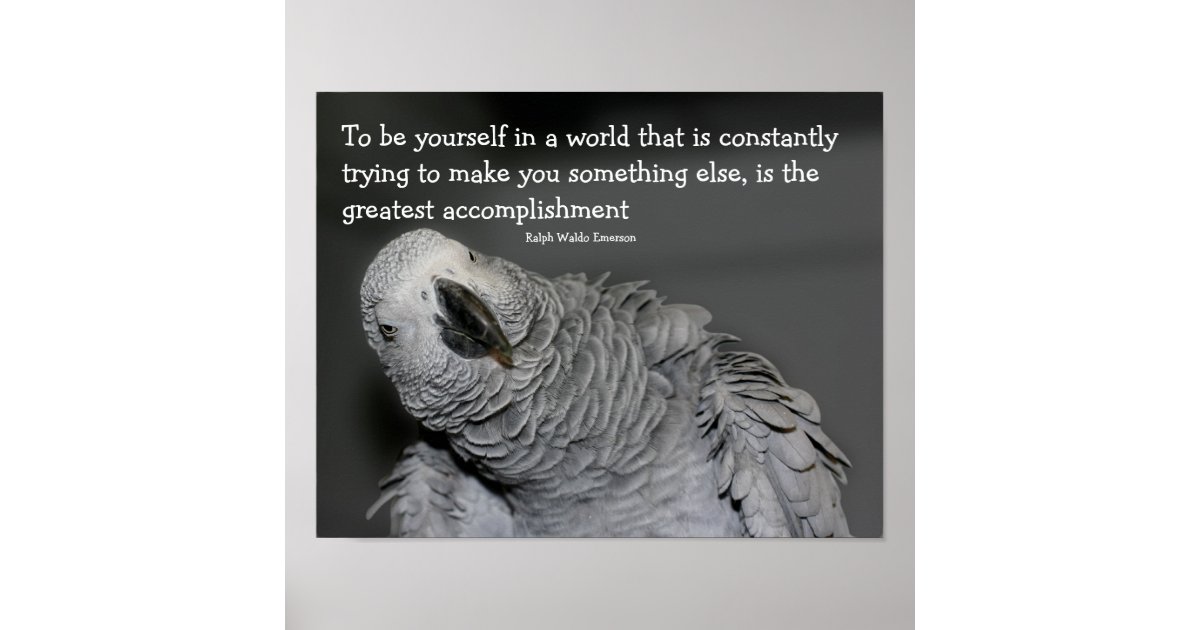 Be Yourself Quote Cute Parrot Inspirational Poster | Zazzle