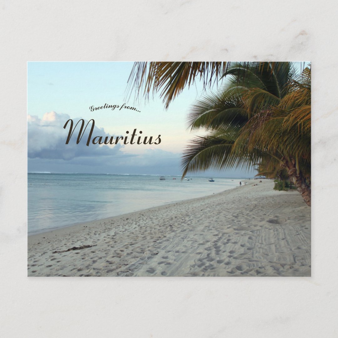 Beach and Palm Trees in Mauritius Postcard | Zazzle