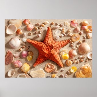 Beach And Sand Starfish Poster | Zazzle