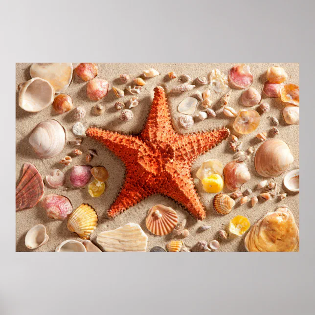 Beach And Sand Starfish Poster | Zazzle