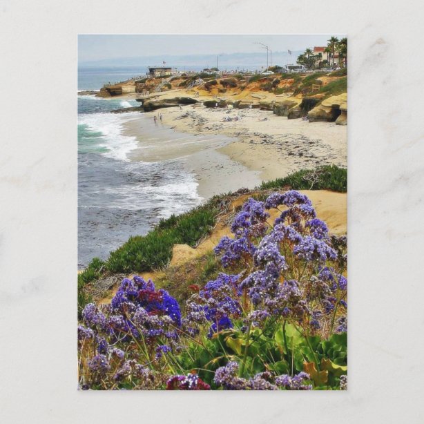 La Jolla Postcards - No Minimum Quantity | Zazzle