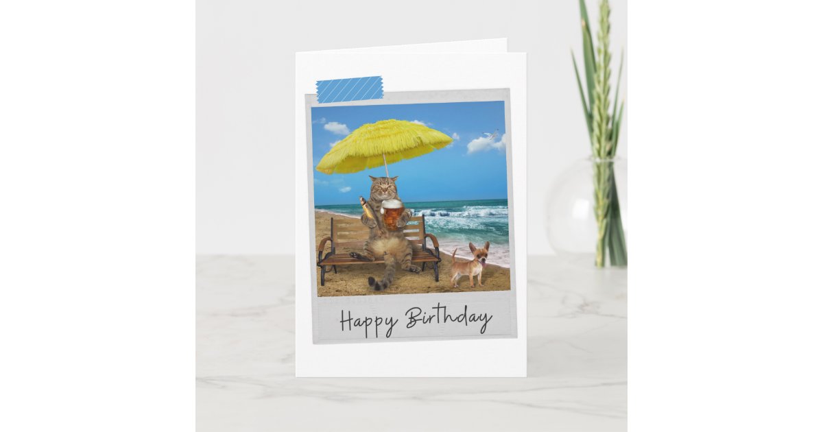 Beach Beer Cat Funny Birthday Card | Zazzle