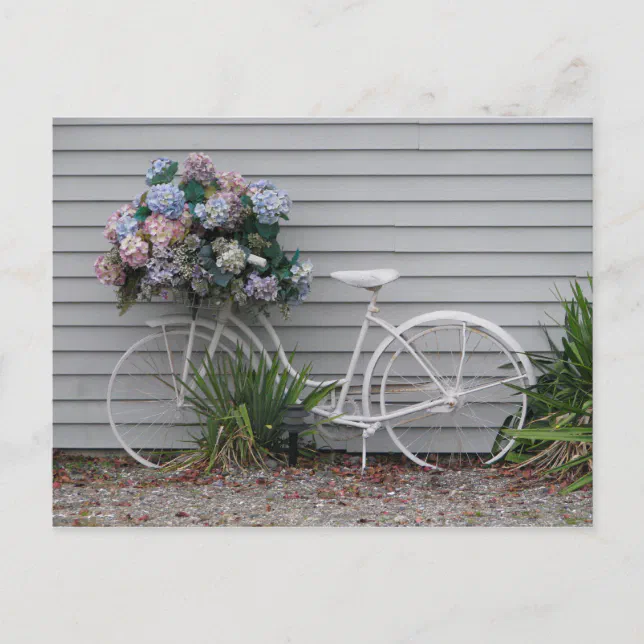 Beach Bicycle Postcard | Zazzle